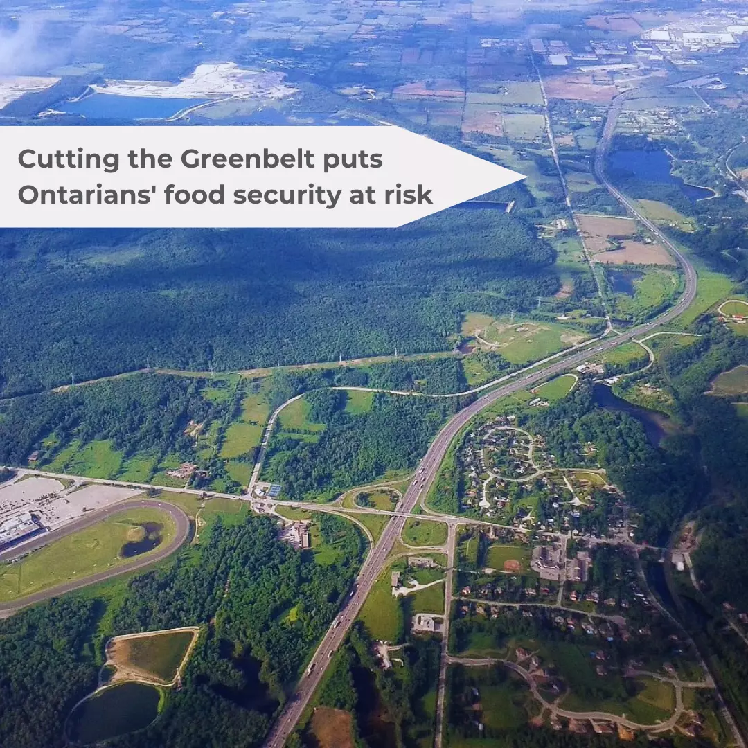 Cutting the Greenbelt puts Ontarians' food security at risk | Healthy ...